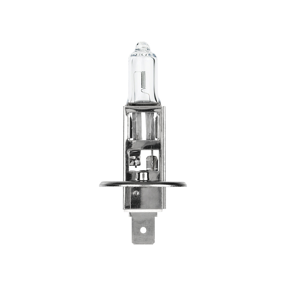 H1 Halogen Bulb – Bhullar Bha Store